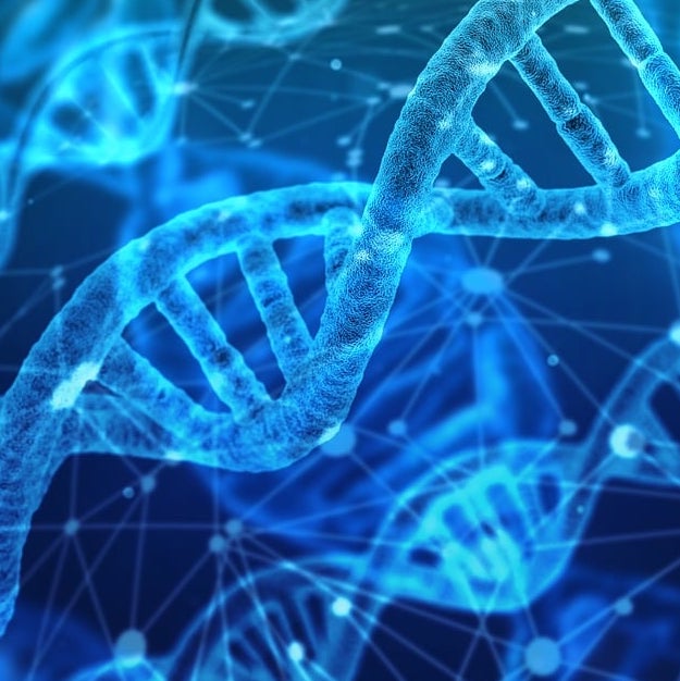 DNA Sequencing Technologies – Sanger Sequencing | Genome Detectives